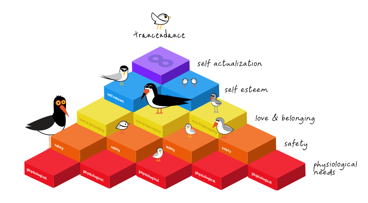 Birds On the Verge of Transcendence – Readings From The Northside